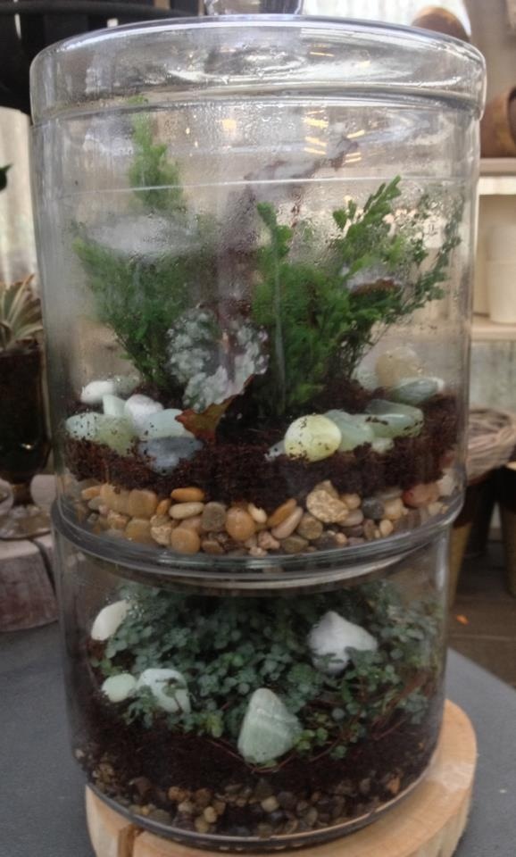 Need Your Terrarium Planted? We Can Help! | Oak Street Garden Shop and ...