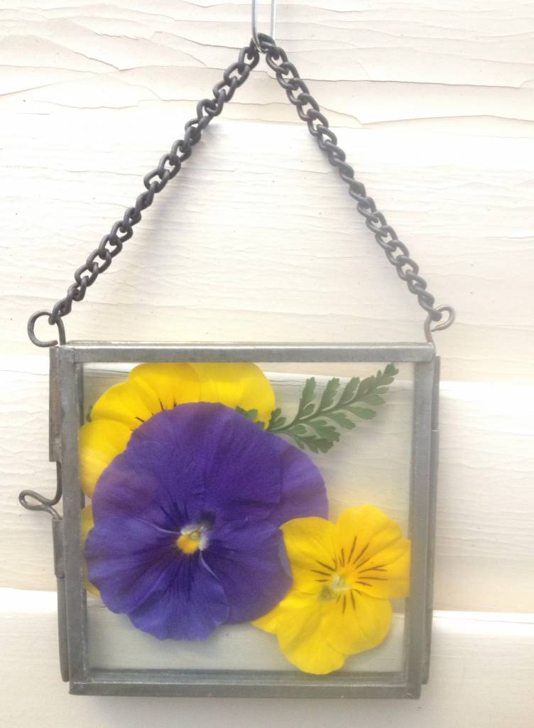 Botanicals Under Glass – We Have Everything You Need! | Oak Street ...