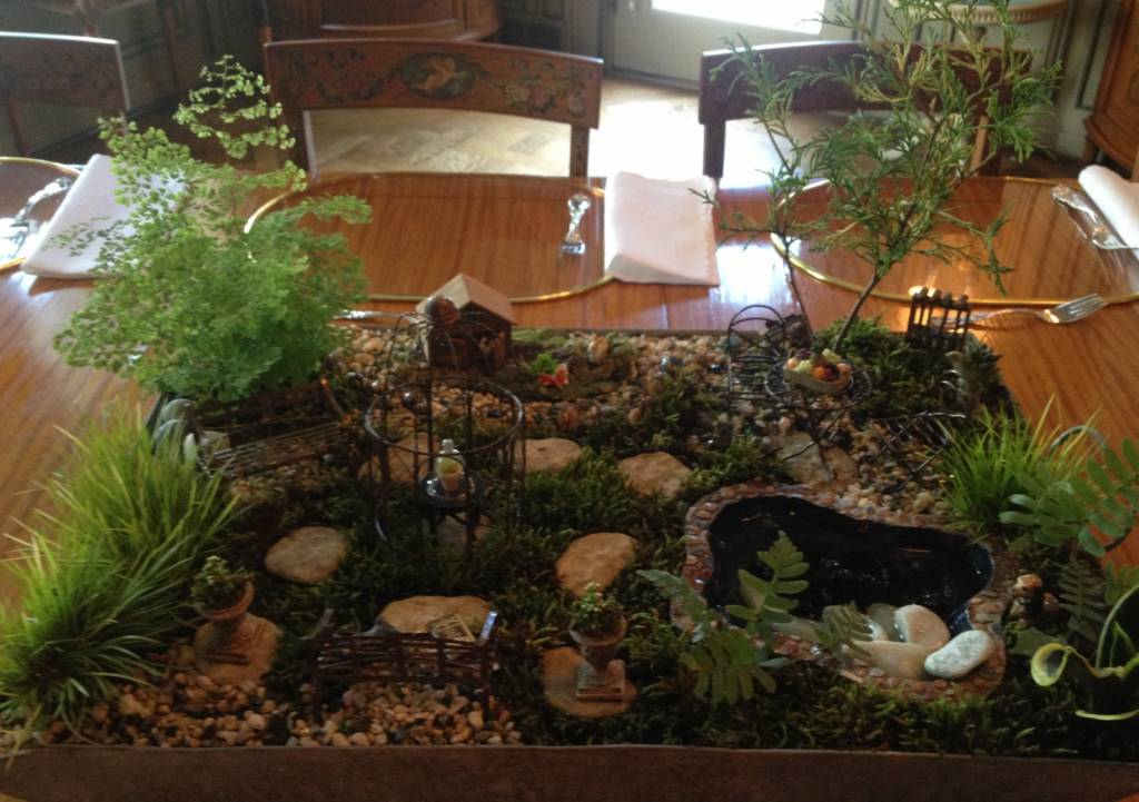 Small, Smaller, Smallest – Miniature Gardens! | Oak Street Garden Shop ...