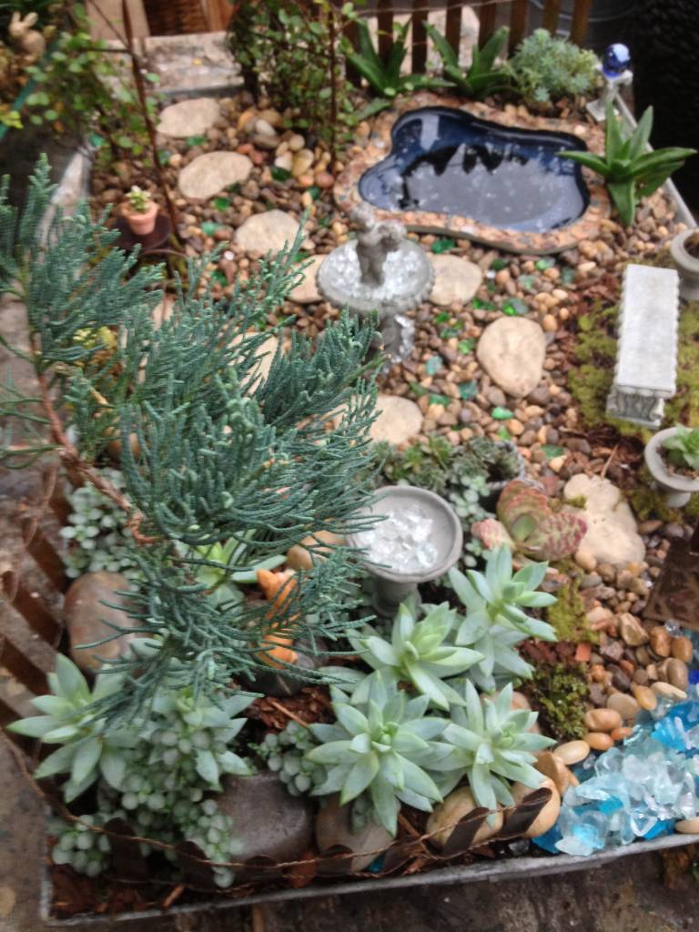 Small, Smaller, Smallest – Miniature Gardens! | Oak Street Garden Shop ...