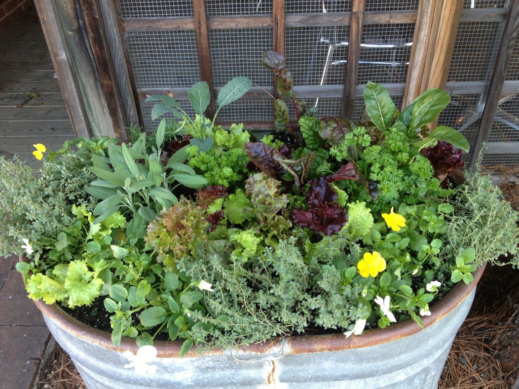 Mix It Up – Potager Style Container Planting | Oak Street Garden Shop ...