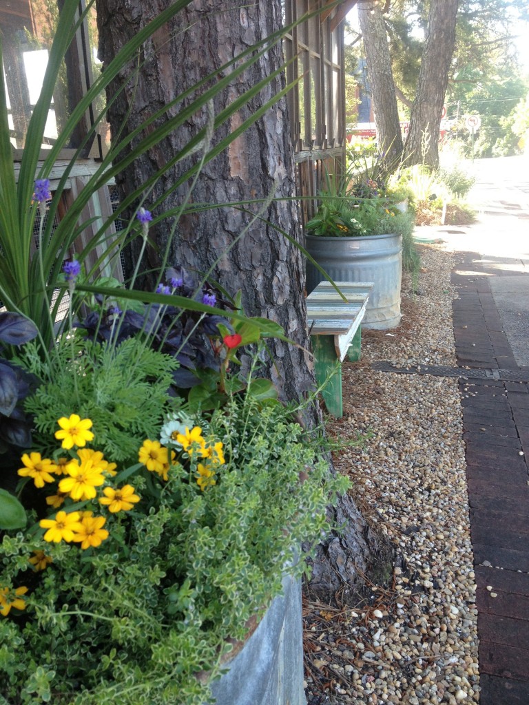 Mix It Up – Potager Style Container Planting | Oak Street Garden Shop ...