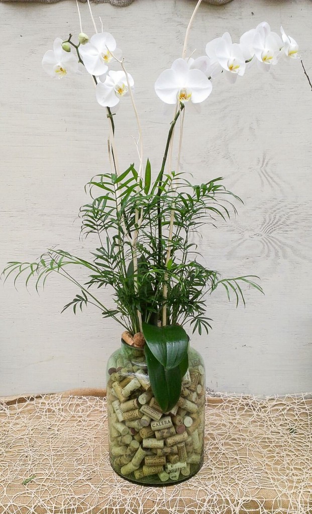 Mid-Summer Orchid Arrangements… | Oak Street Garden Shop and Local Market