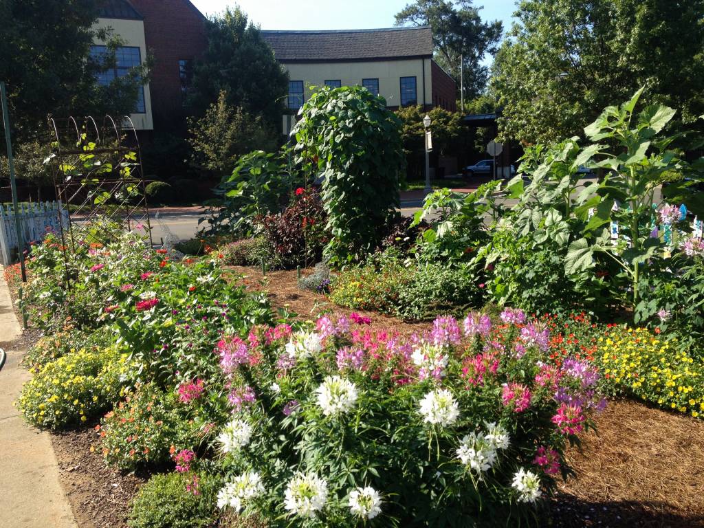Our Flower Garden – Look How It’s Grown! | Oak Street Garden Shop and ...