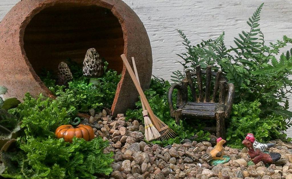 More Miniature Gardens | Oak Street Garden Shop and Local Market