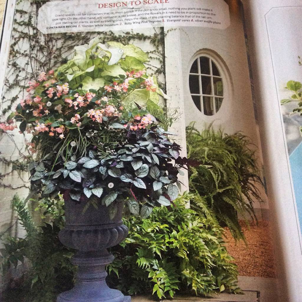 Here’s A Look At Our Plantings in the Southern Living Magazine’s ...