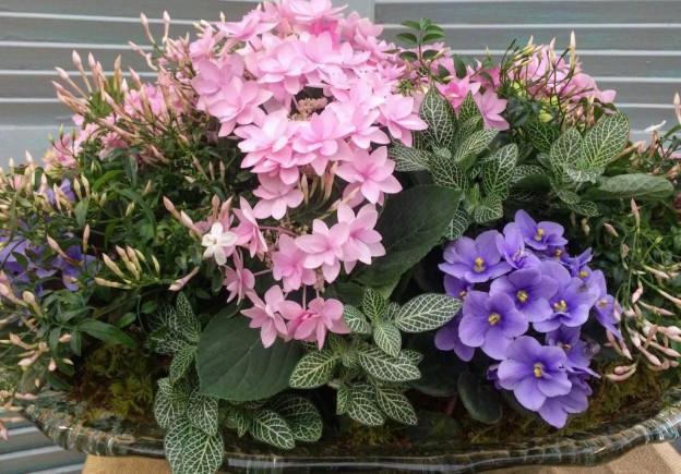 Easter Centerpiece – Hydrangea | Oak Street Garden Shop and Local Market