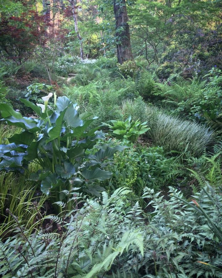 Leaf Stacking Design | Oak Street Garden Shop and Local Market
