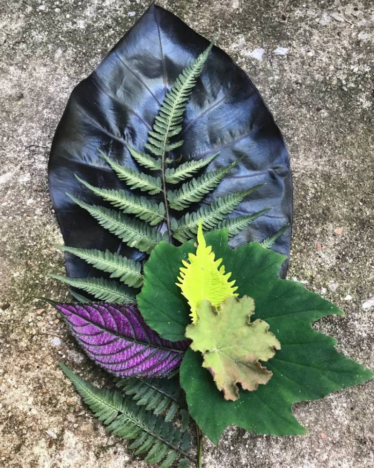 Leaf Stack | Oak Street Garden Shop and Local Market