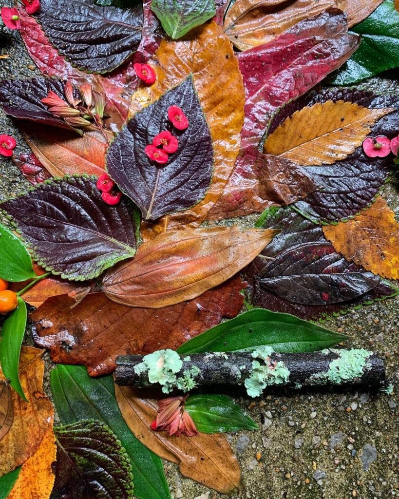 Leaf Stacking Design | Oak Street Garden Shop and Local Market